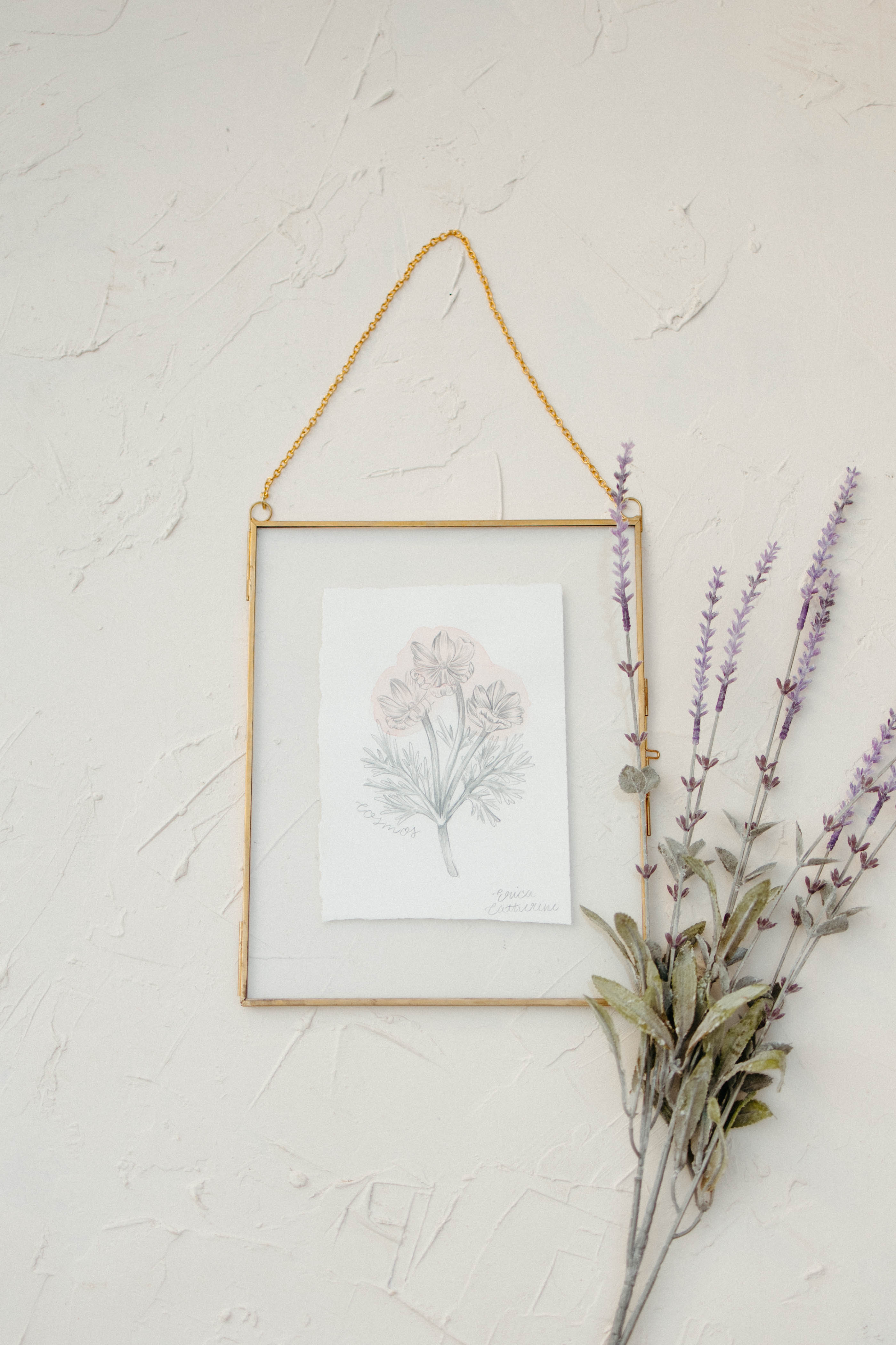 October Birth Flower - Cosmos Mini Original Drawing – Erica Catherine