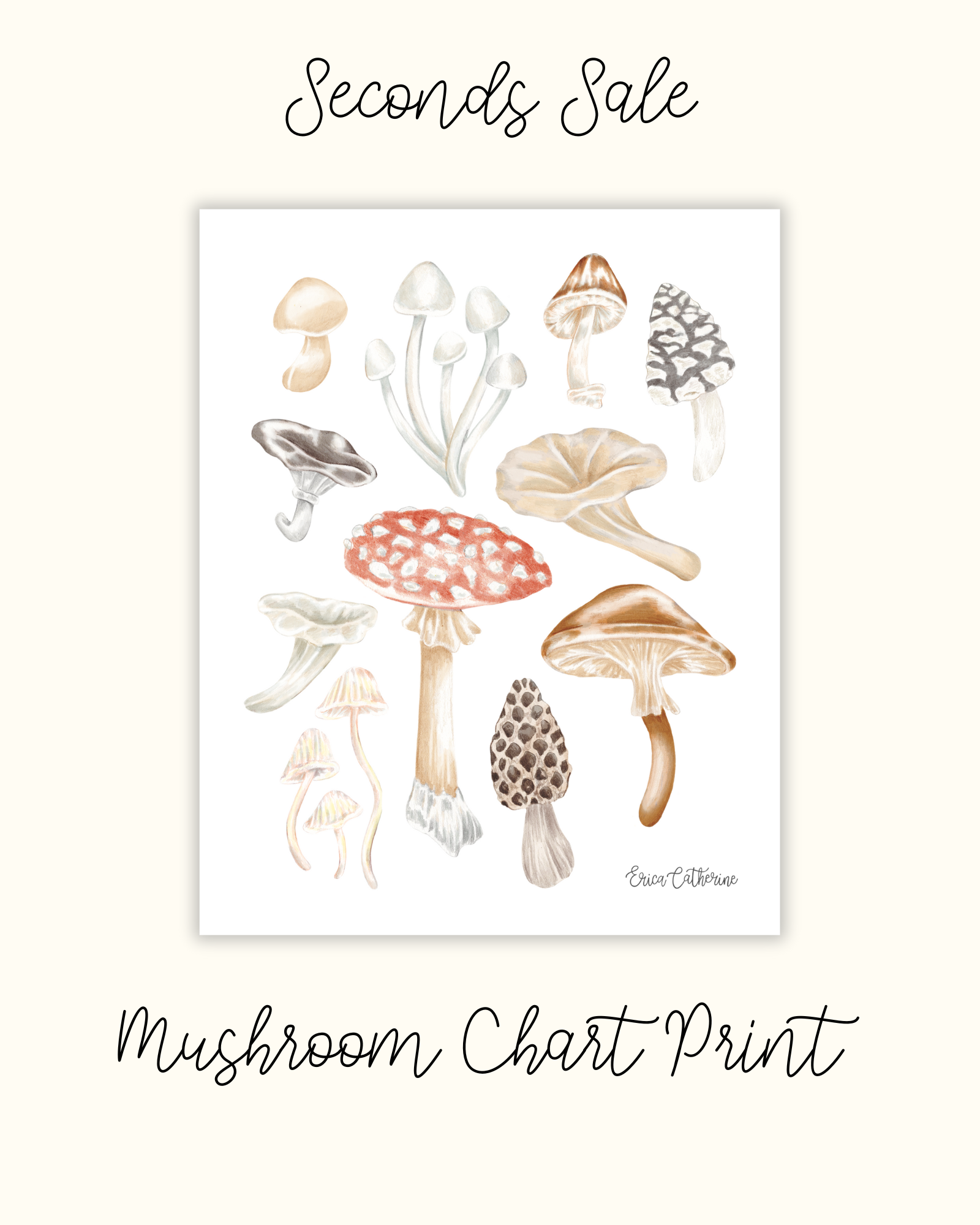 Mushroom Chart Print - Seconds Sale – Erica Catherine