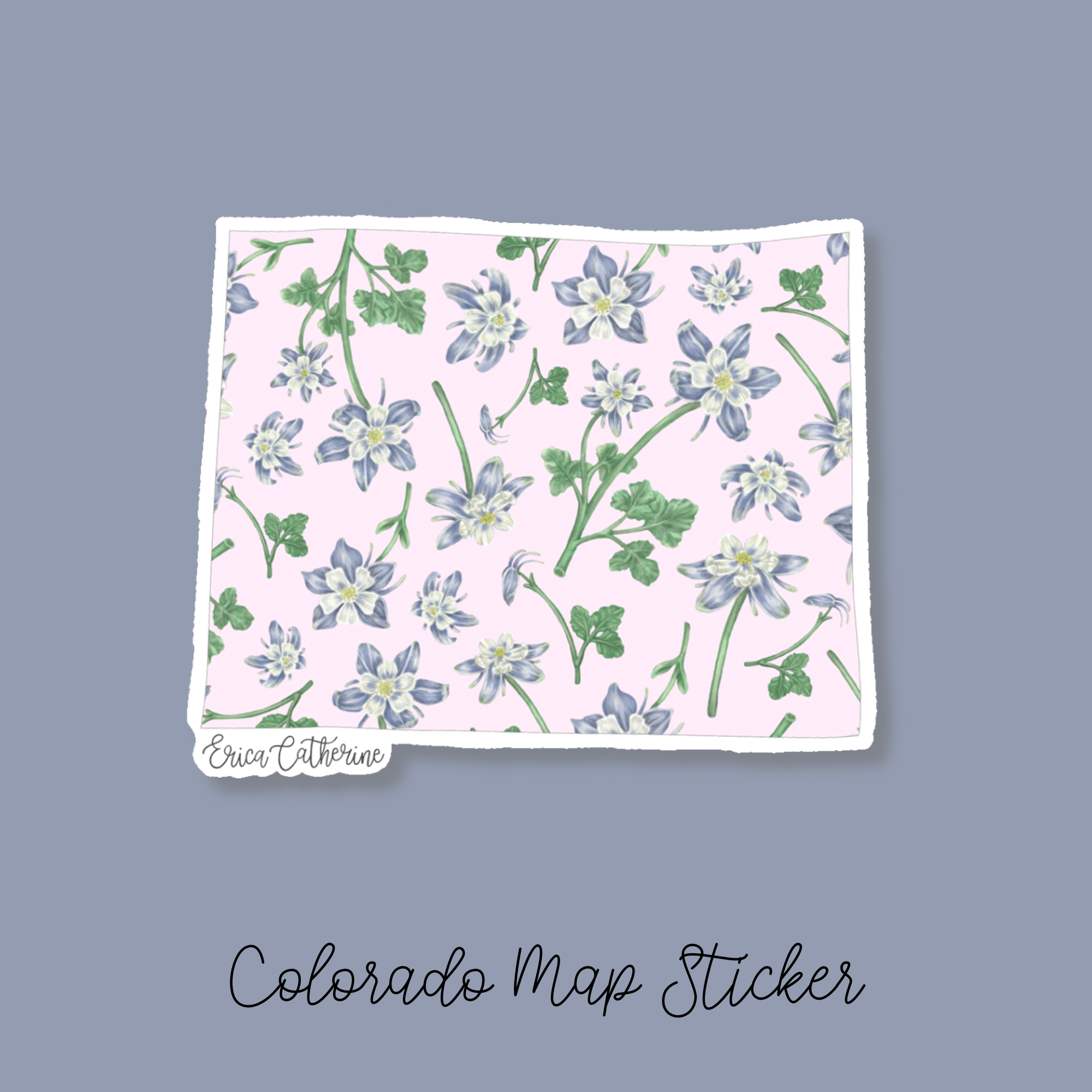 Colorado State Flower Map Vinyl Sticker – Erica Catherine