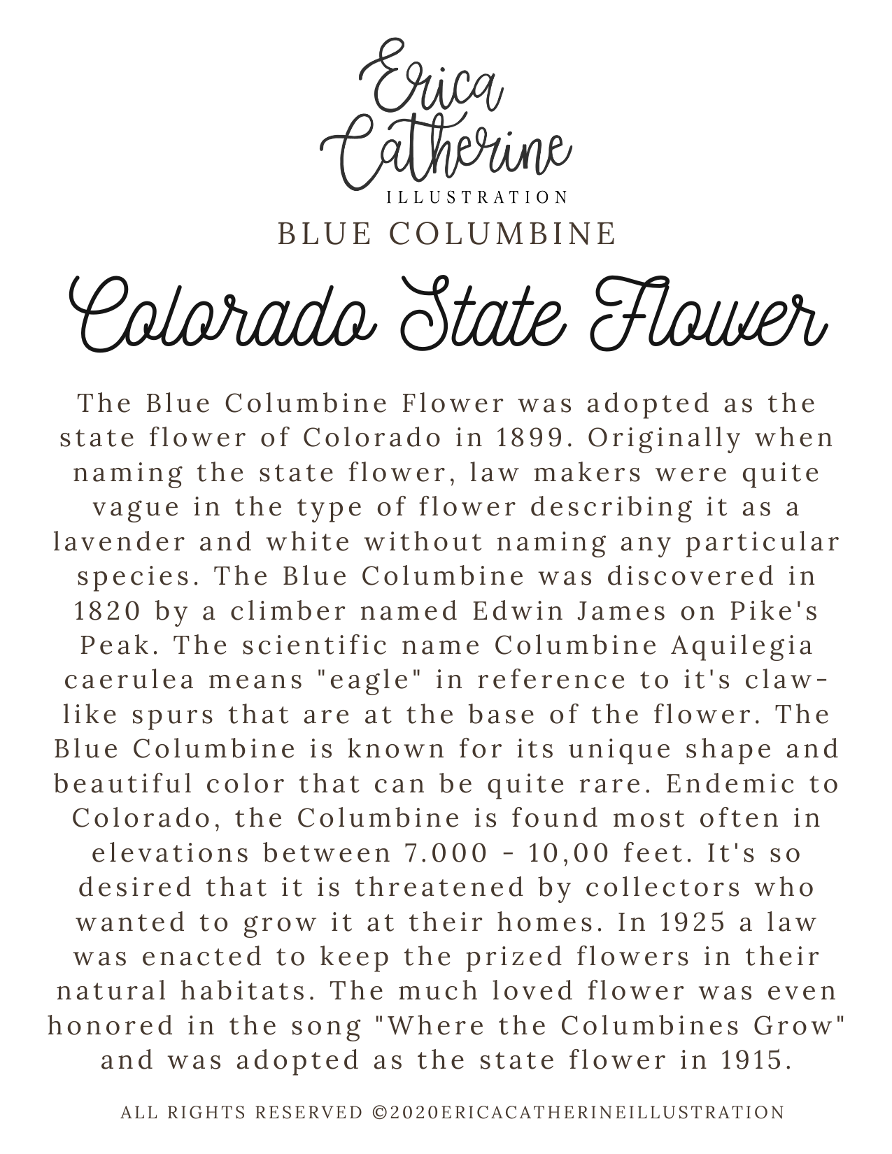 Colorado State Flower Map Vinyl Sticker – Erica Catherine